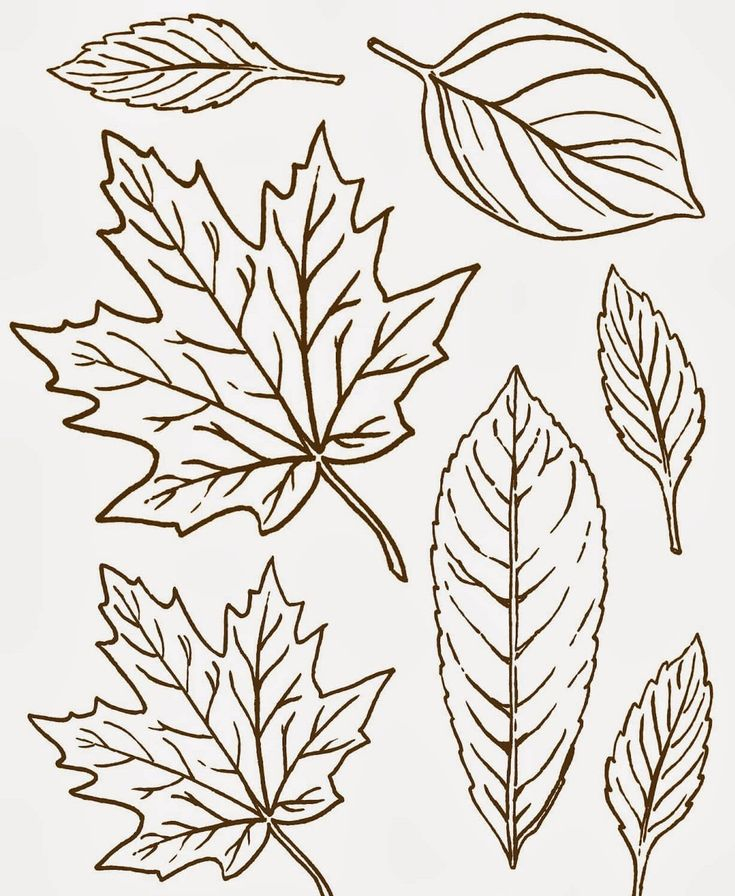 Free Printable Wood Burning Patterns Fanny Printable