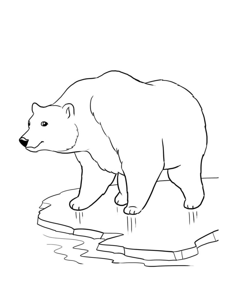 Polar Bear Printable Pictures Free Free Printable | Fanny Printable