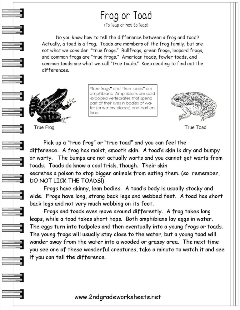 Reading Worksheets Fourth Grade Reading Worksheets Free Printable ...